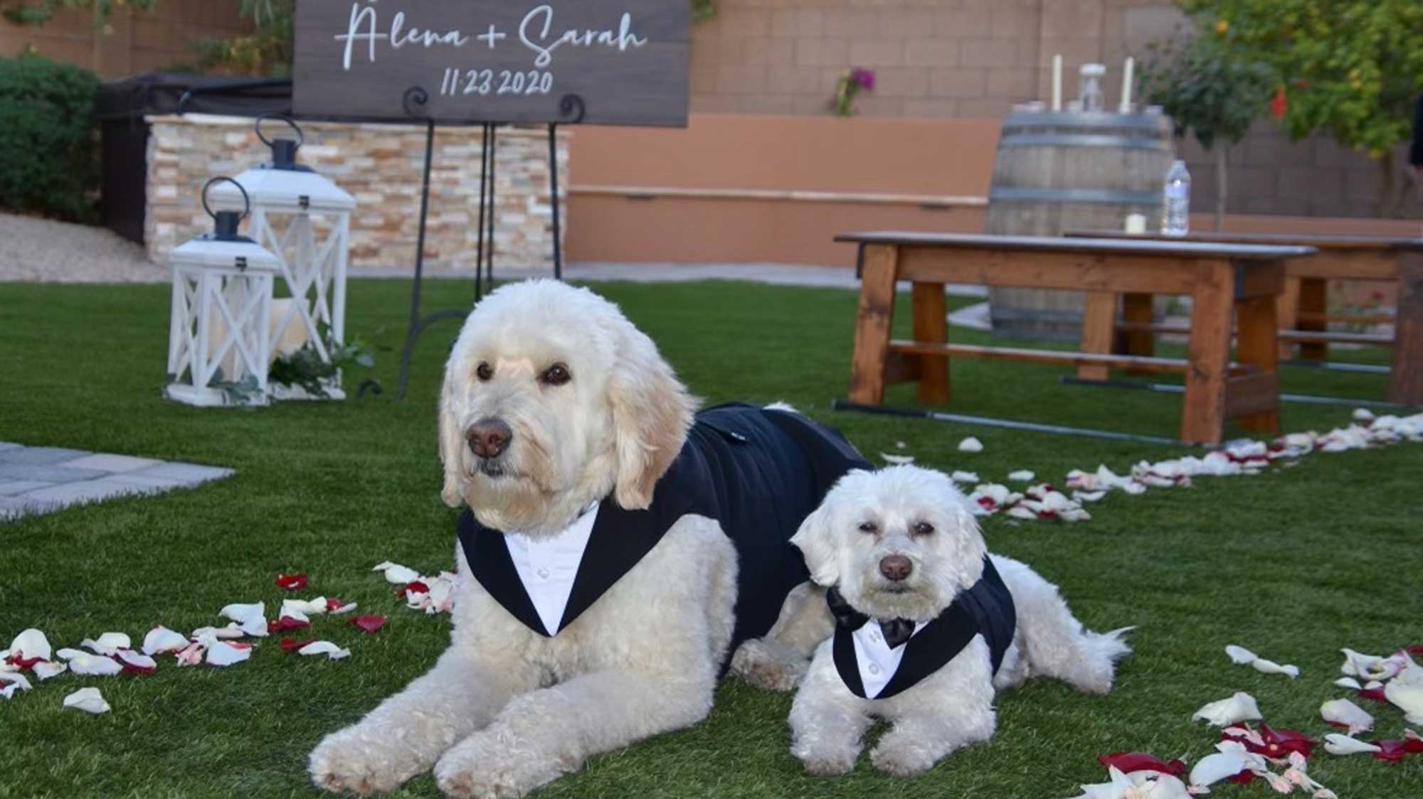 Alena Sharp and Sarah Bowman Author A Valentine’s Story Worth Embracing ...