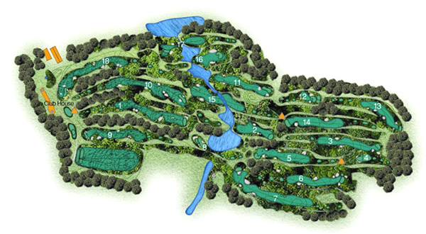 Overview | LPGA | Ladies Professional Golf Association